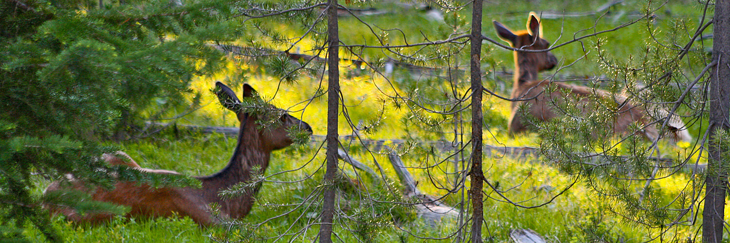 John Esling :: Lover of Life :: Encouraging You to Thrive!