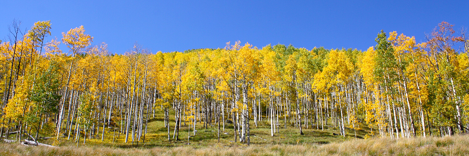 John Esling :: Lover of Life :: Encouraging You to Thrive!